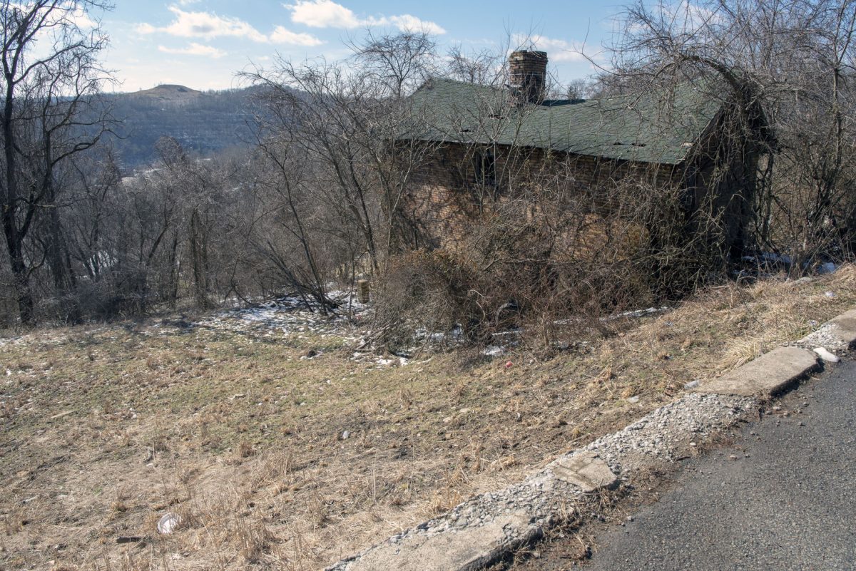 Blight a major issue facing rural communities - Observer-Reporter
